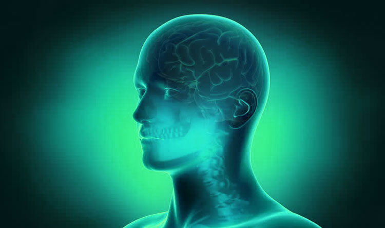 Here Are The Right Games To Stimulate Your Brain DroidViews Here Are The Right Games To Stimulate Your Brain DroidViews
